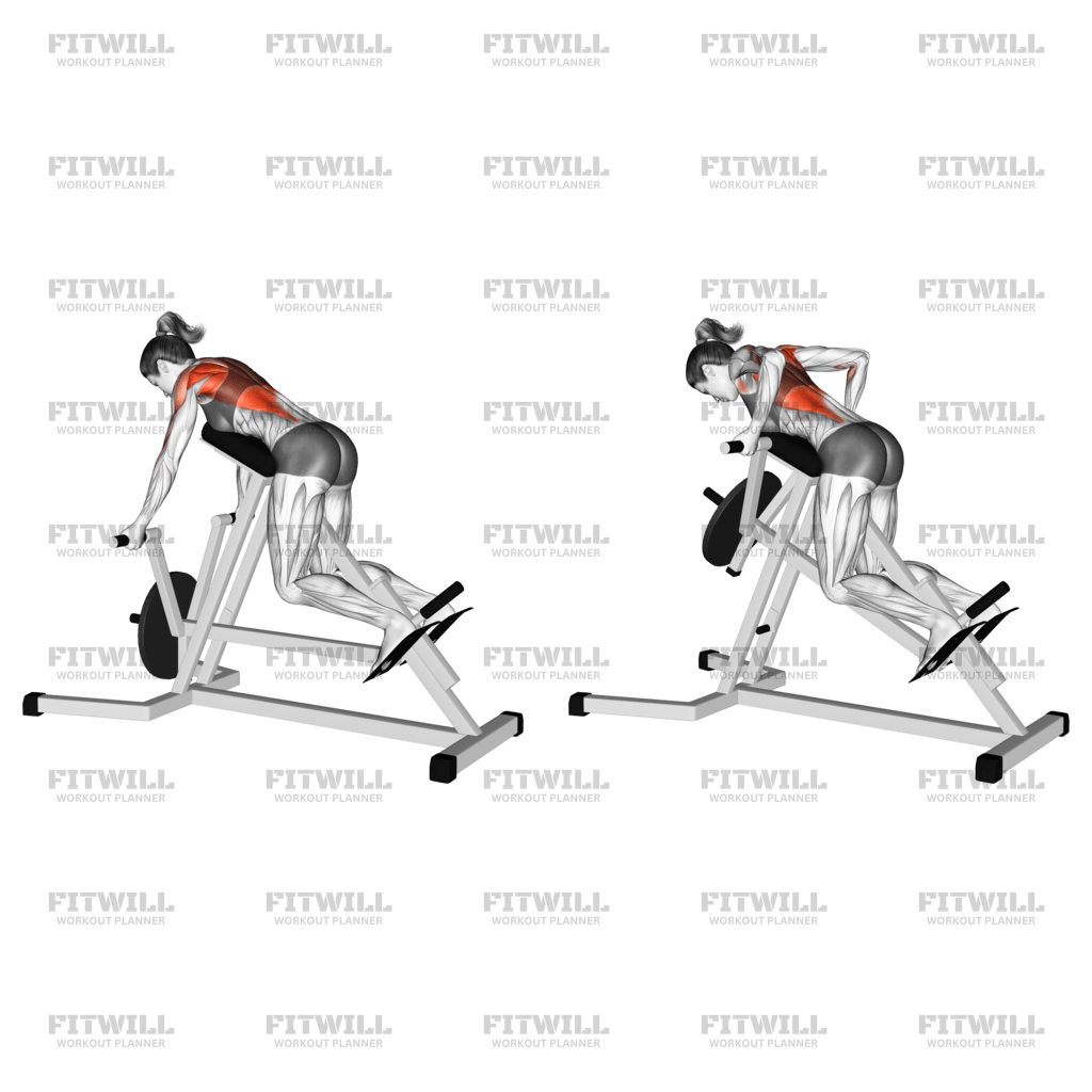 Remo En T Invertido Con Palanca: Video de Ejercicio | Fitwill