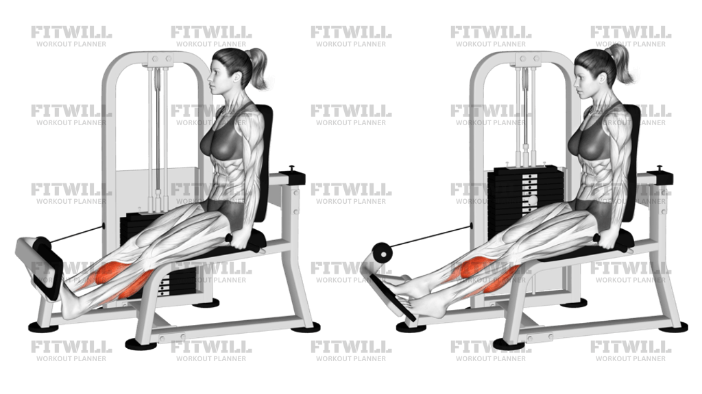 Lever Rotary Calf: Exercise Guide, Video, Techniques, Benefits, How to ...