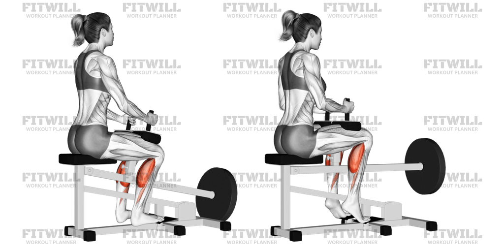Lever Seated Calf Raise Plate Loaded: Exercise Guide, Video, Techniques ...
