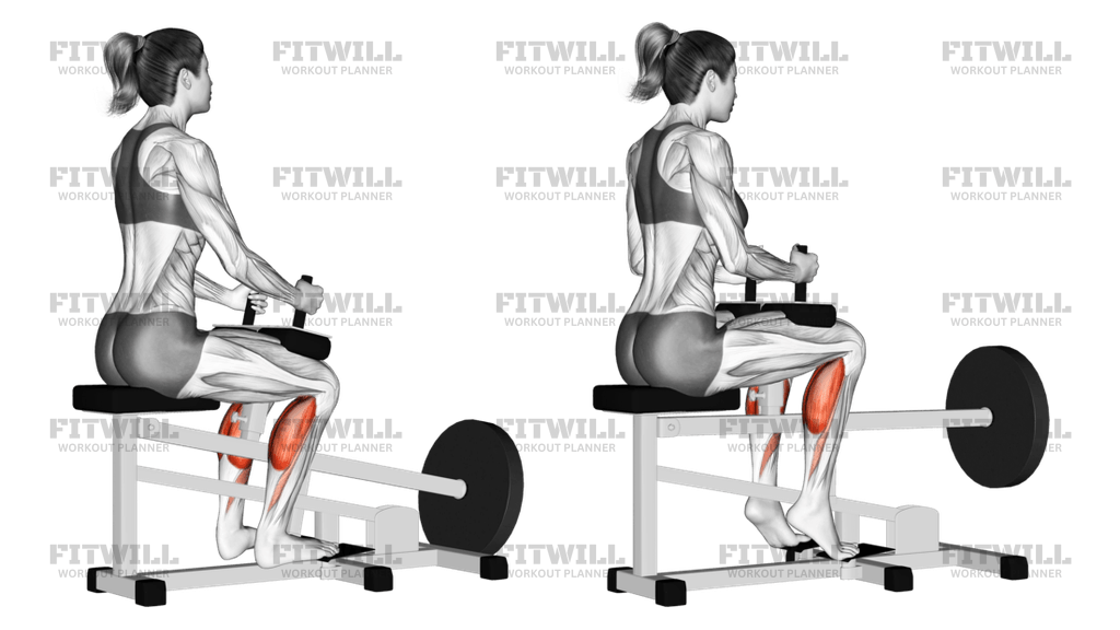 Elevação De Panturrilha Sentado Na Alavanca (com Carga De Anilhas ...