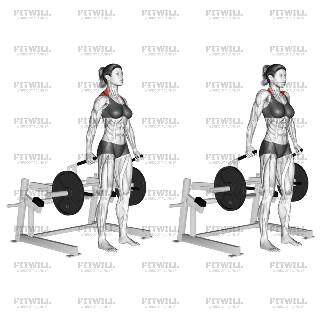 Lever Shrug (plate loaded): Guide, Techniques, Benefits, How to ...