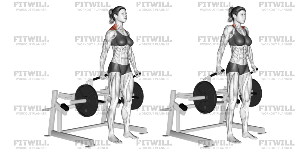 Lever Shrug (plate Loaded): Exercise Guide, Video, Techniques, Benefits ...