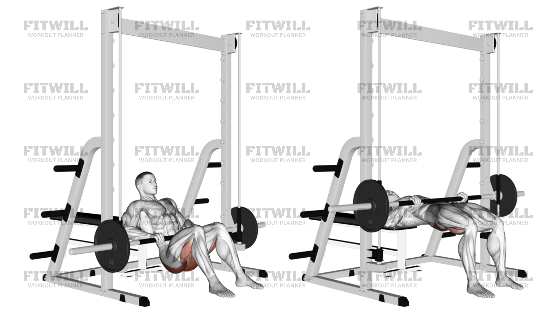 Smith Hip Thrust: Exercise Guide, Video, Techniques, Benefits, How to ...