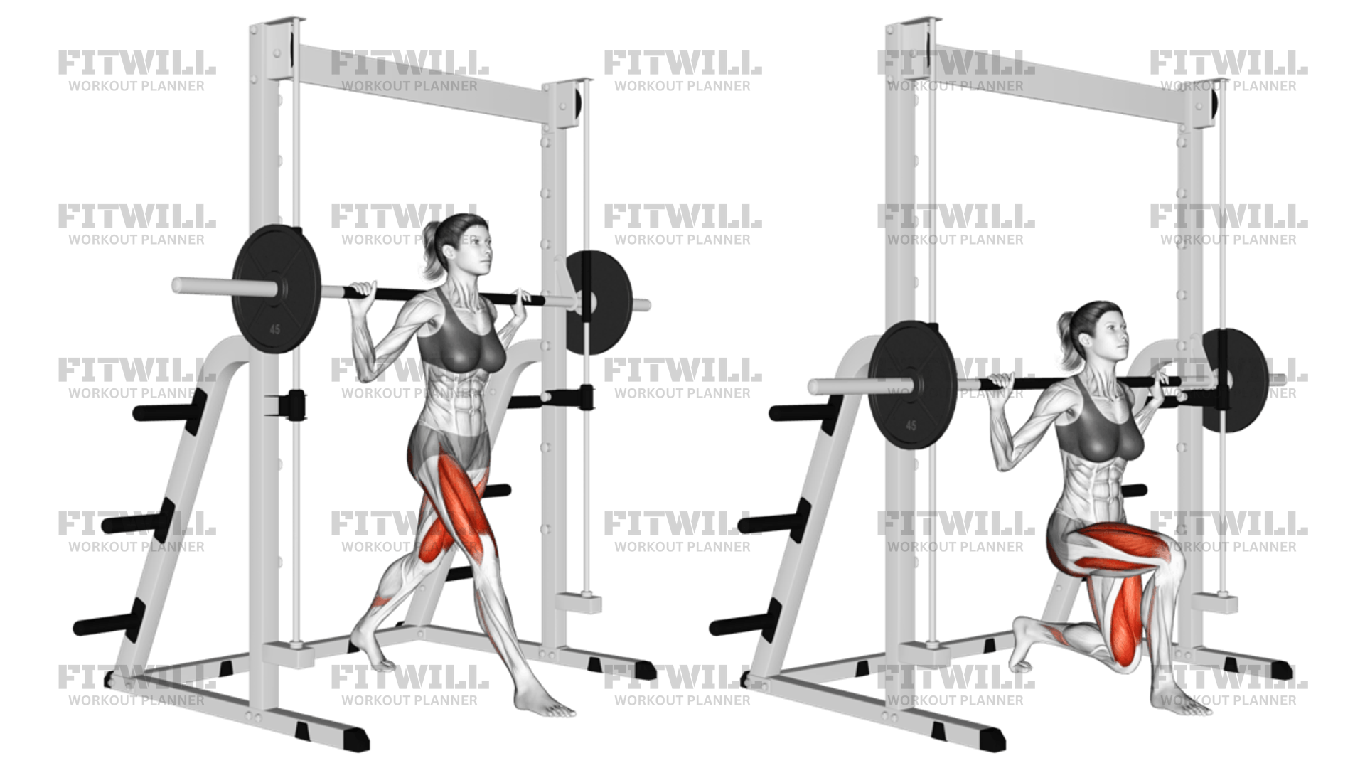 Smith Split Squat: Exercise Guide, Video, Techniques, Benefits, How to, Muscles Worked, Tips ...