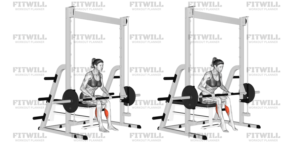 Smith Toe Raise: Exercise Guide, Techniques, Benefits, How to, Muscles ...