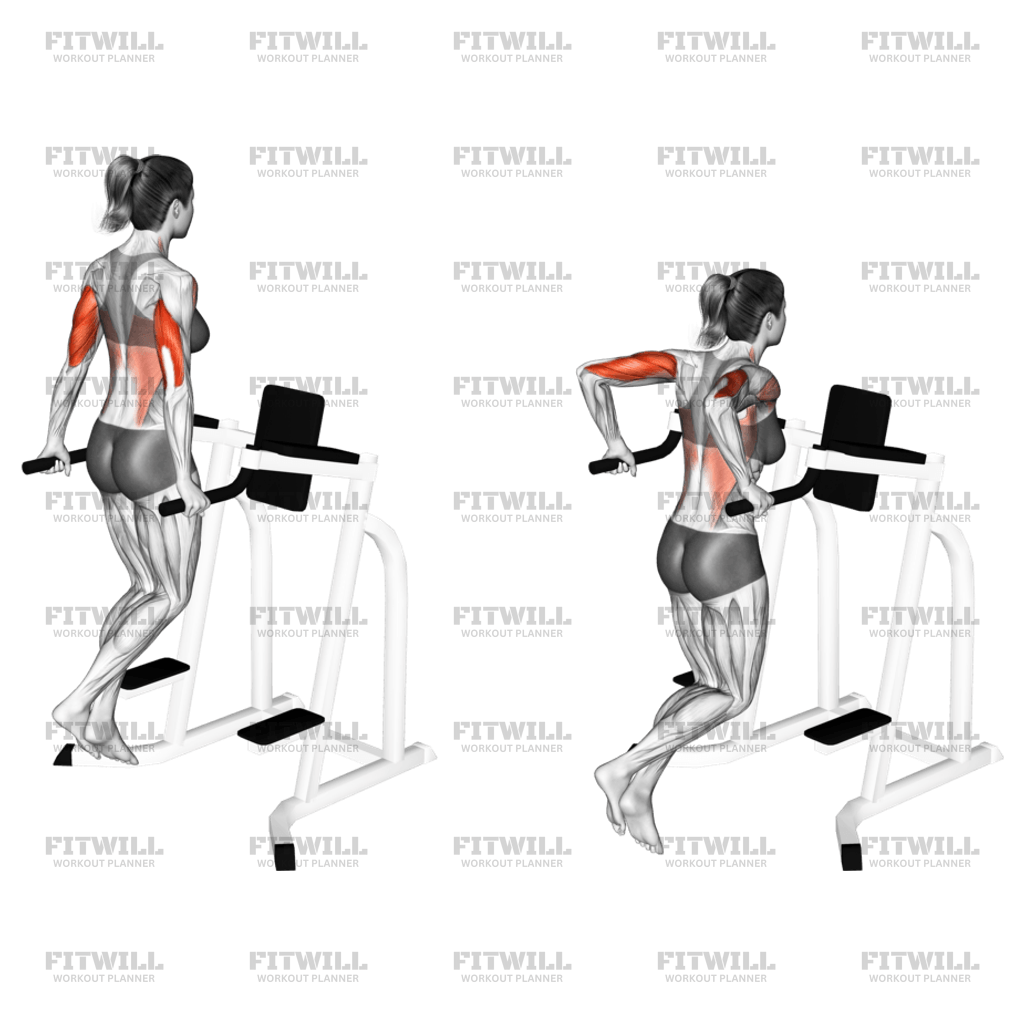 Triceps Dip: Exercise Guide, Video, Techniques, Benefits, How to ...