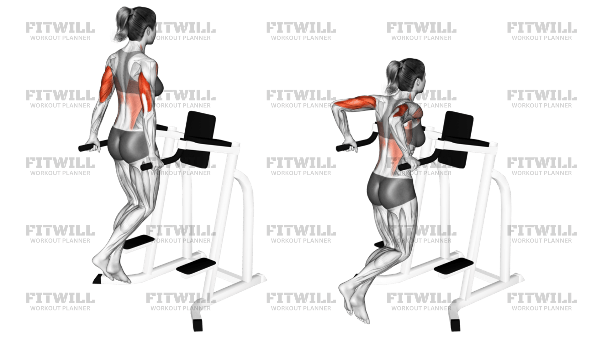 Triceps Dip: Exercise Guide, Video, Techniques, Benefits, How to ...