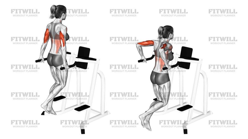 Triceps Dip: Exercise Guide, Video, Techniques, Benefits, How to ...