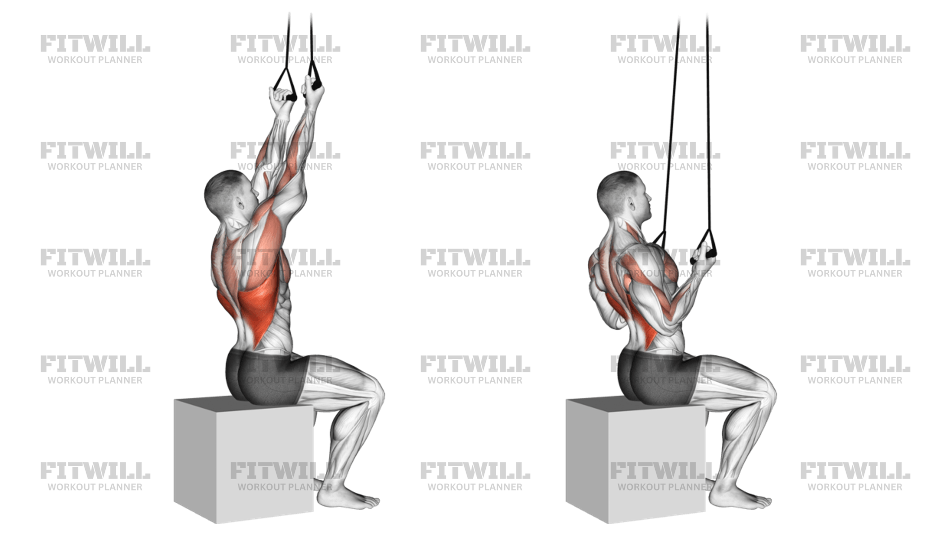 Band Fixed Back Underhand Pulldown: Exercise Guide, Video, Techniques, Benefits, How to, Muscles ...