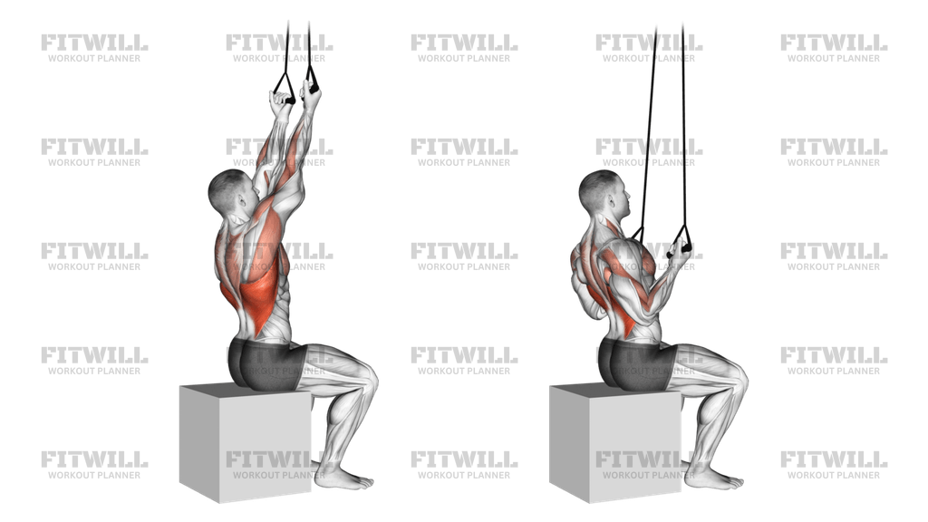 Band Fixed Back Underhand Pulldown: Exercise Guide, Video, Techniques ...