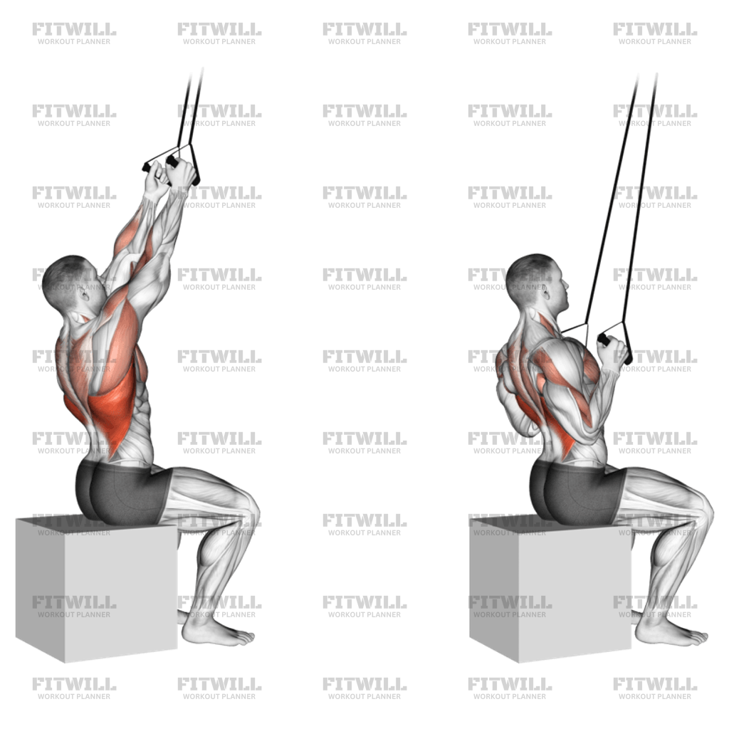 Band Fixed Back Close Grip Pulldown: Exercise Guide, Techniques, Benefits, How to, Muscles ...
