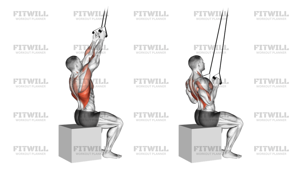Band Fixed Back Close Grip Pulldown: Exercise Guide, Techniques ...
