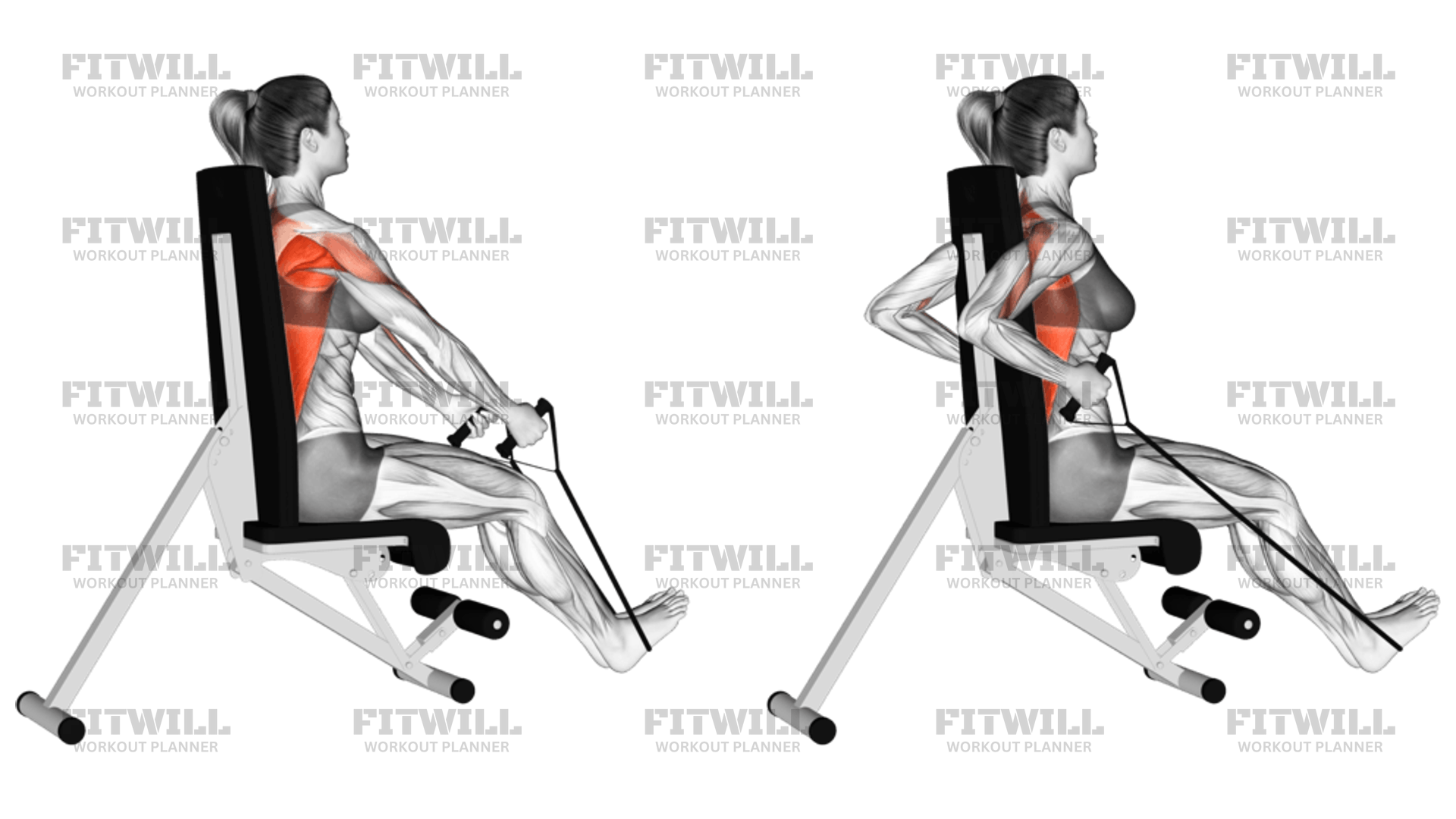 Remo Sentado Con Banda Elástica Y Espalda Recta: Guía de Ejercicios ...