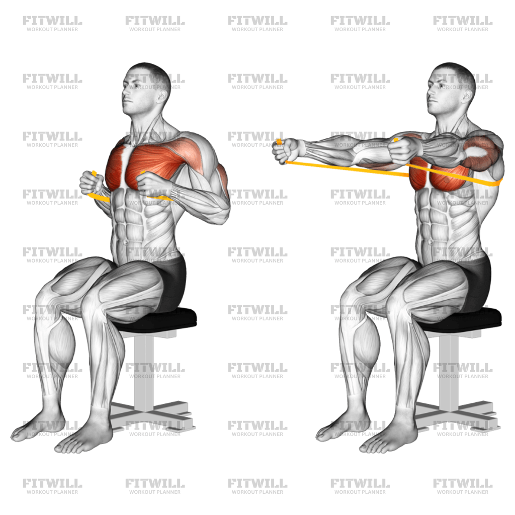 Press De Pecho Sentado Con Banda De Resistencia: Guía de Ejercicios ...