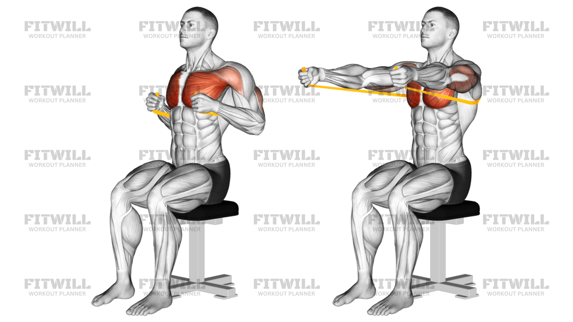 Resistance Band Seated Chest Press: Exercise Guide, Techniques ...