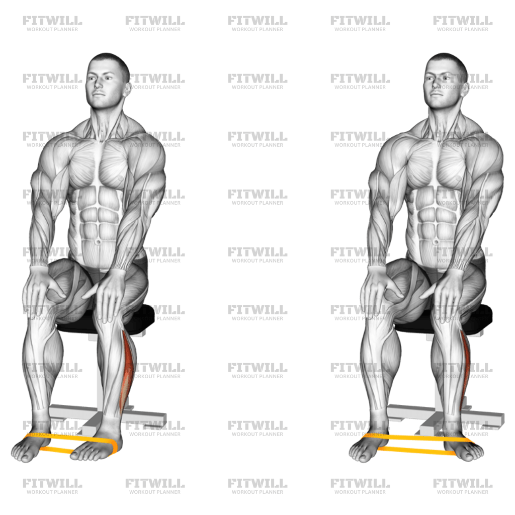 Resistance Band Foot External Rotation: Exercise Guide, Techniques ...