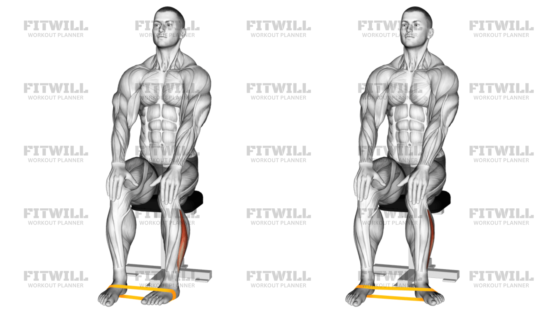 Resistance Band Foot External Rotation: Exercise Guide, Techniques ...