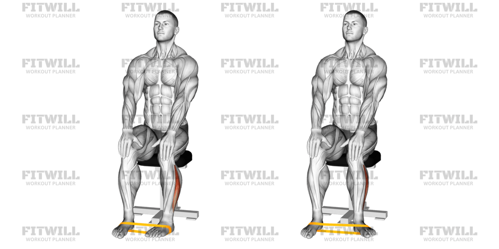 Resistance Band Foot External Rotation: Exercise Guide, Techniques ...