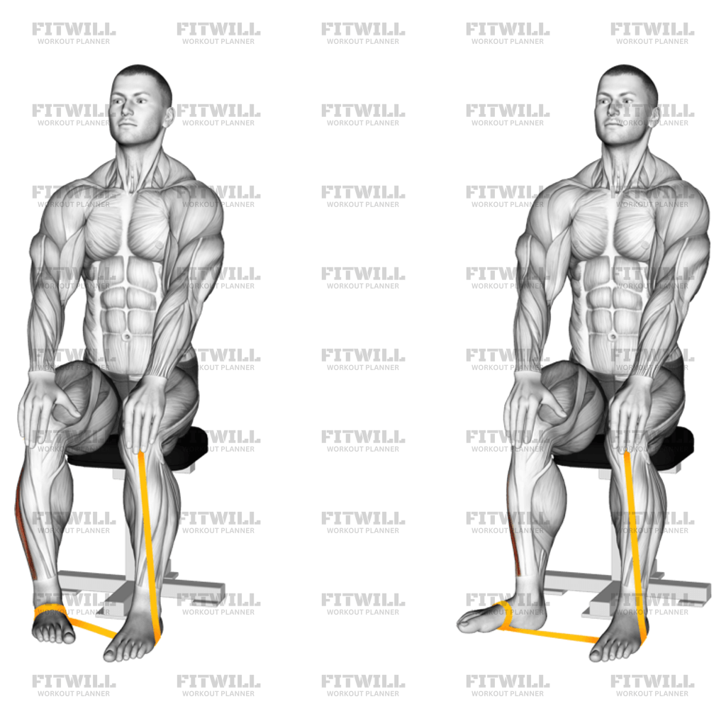 Eversión Del Pie Con Banda De Resistencia: Guía de Ejercicios, Técnicas ...