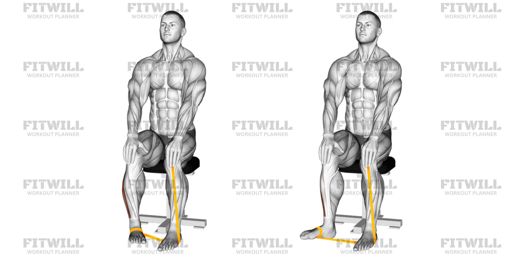 Eversión Del Pie Con Banda De Resistencia: Guía de Ejercicios, Técnicas ...