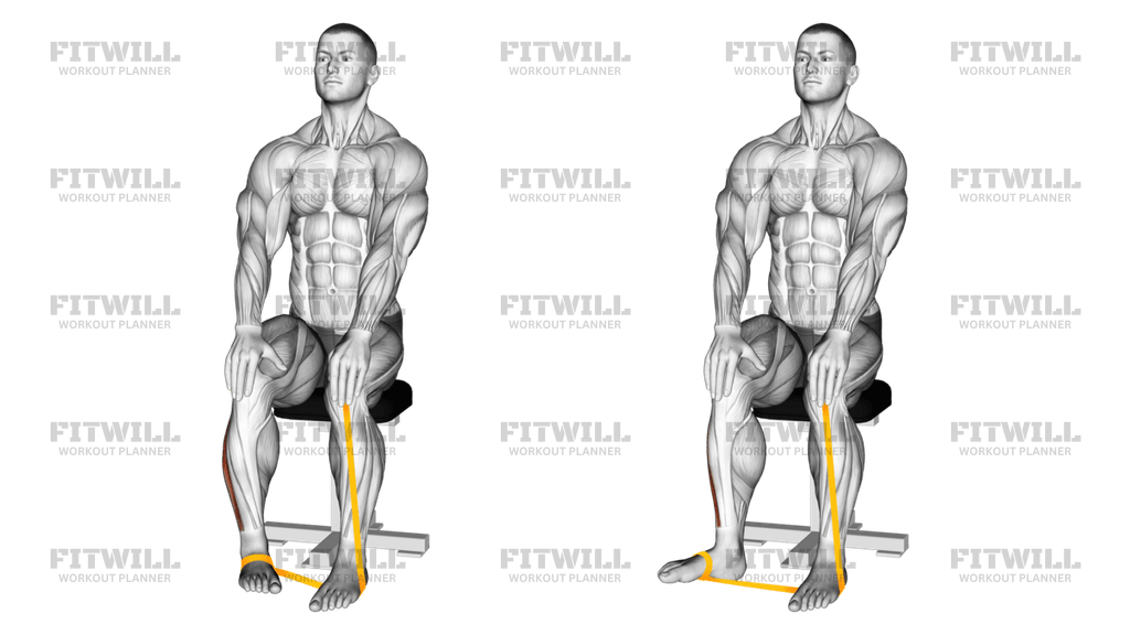 Resistance Band Foot Eversion: Exercise Guide, Techniques, Benefits ...