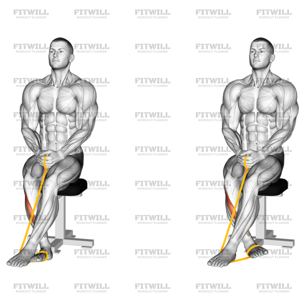 Resistance Band Foot Inversion: Exercise Guide, Techniques, Benefits ...