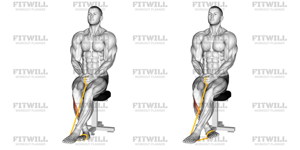 Resistance Band Foot Inversion: Exercise Guide, Techniques, Benefits ...