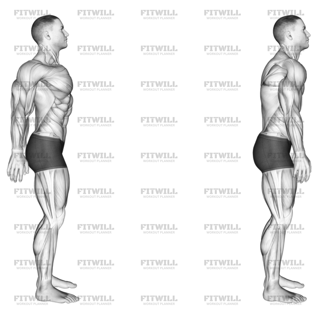 Scapula Retraction Protraction: Exercise Guide, Techniques, Benefits ...