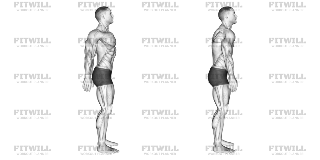 Scapula Retraction Protraction: Exercise Guide, Techniques, Benefits ...