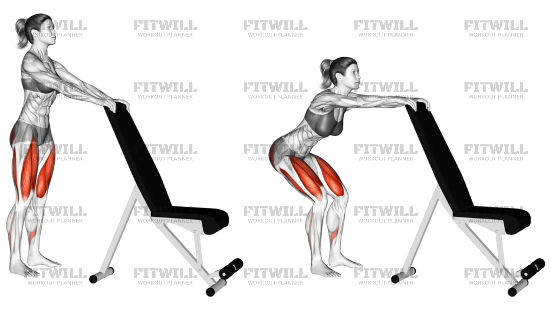 Potty Squat With Support: Exercise Guide, Video, Techniques, Benefits ...