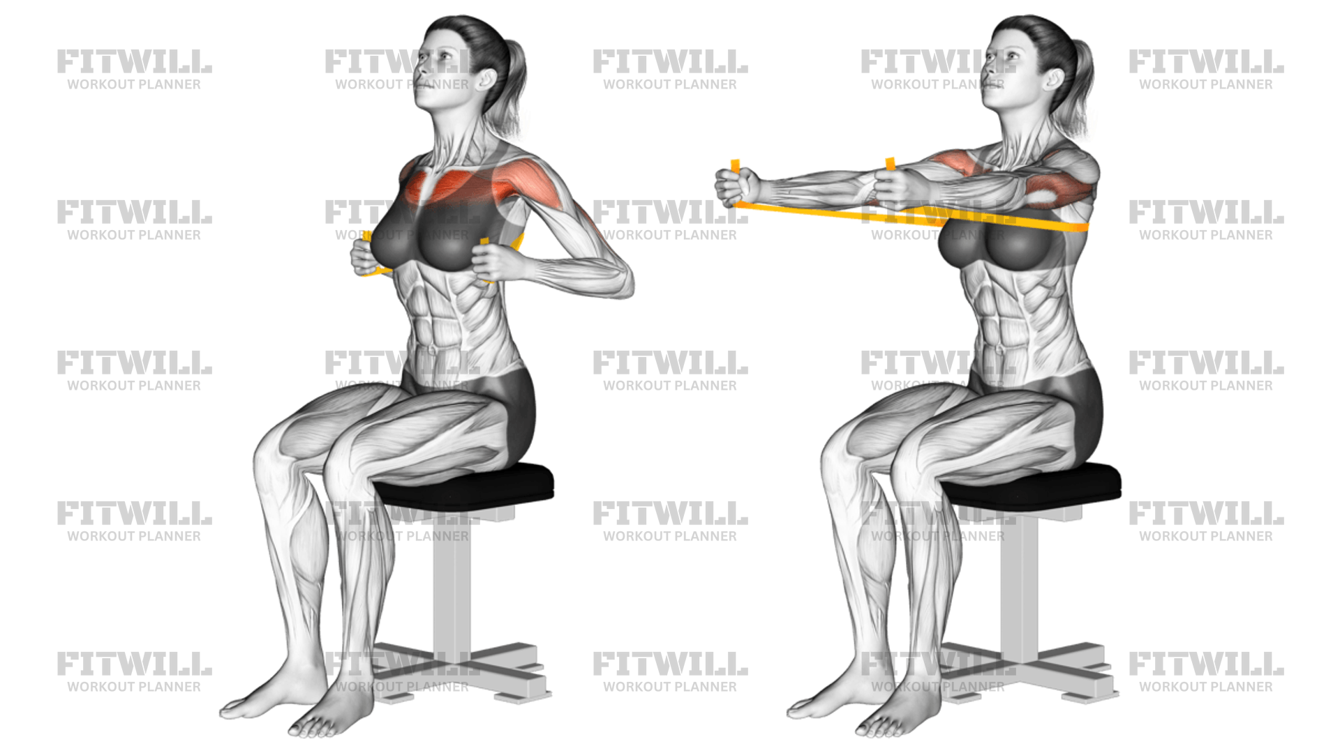 Resistance Band Seated Chest Press Exercise Guide Techniques Benefits How To Muscles Worked 