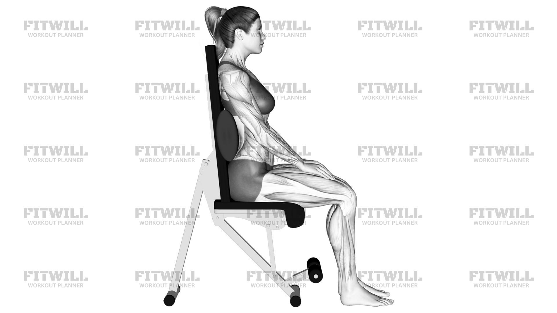 Static Position Seated Back With Pad: Exercise Guide, Techniques ...