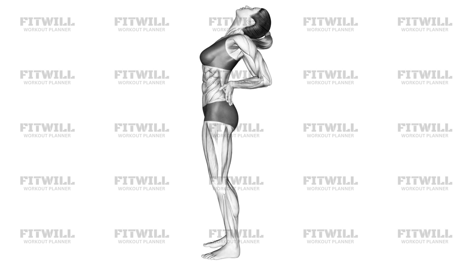 Static Position Standing: Exercise Guide, Techniques, Benefits, How to ...