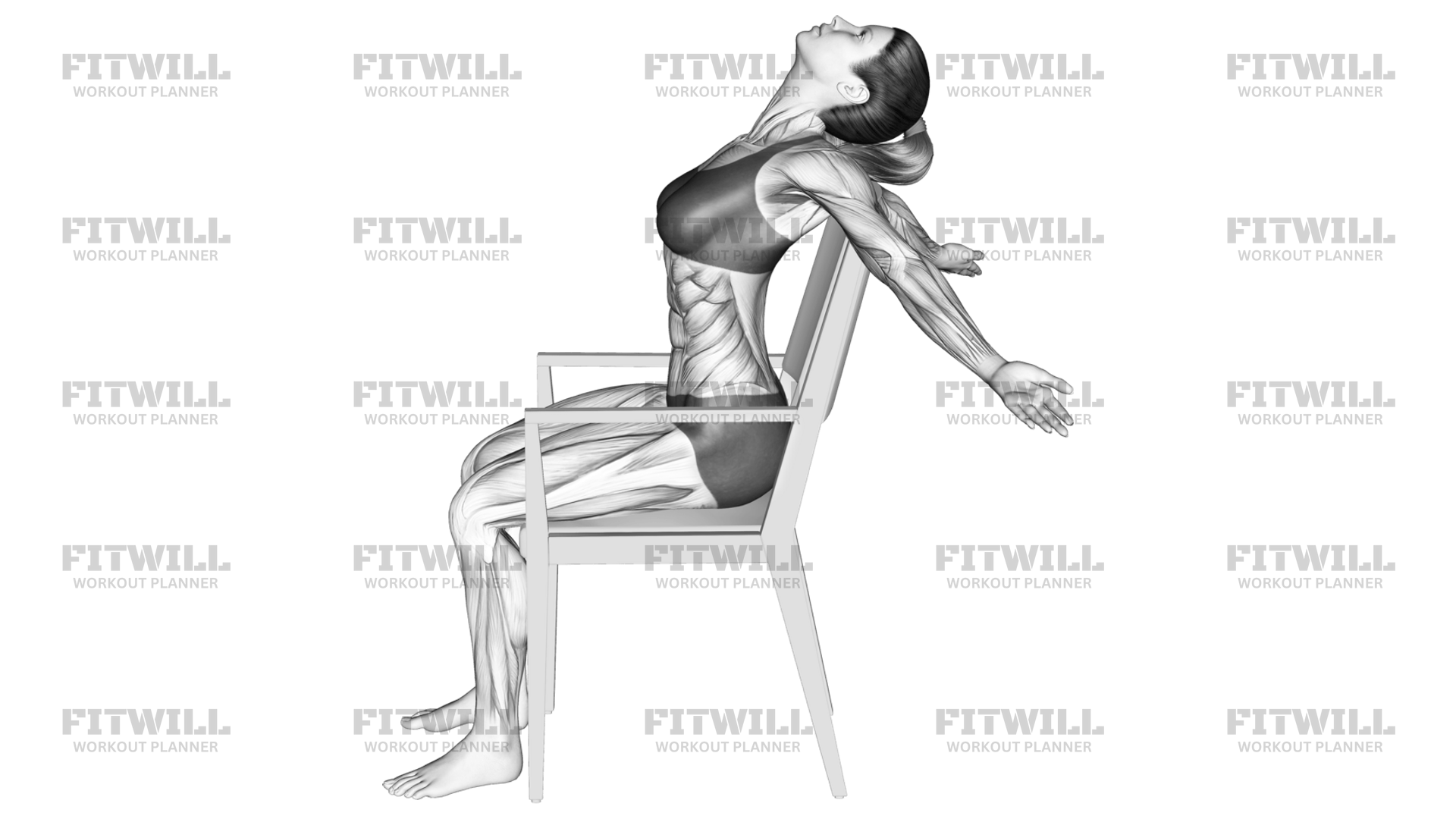 Static Position Seated Back: Exercise Guide, Techniques, Benefits, How ...