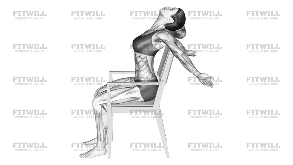 How to do Static Position Seated Back: Techniques, Benefits, Tips ...