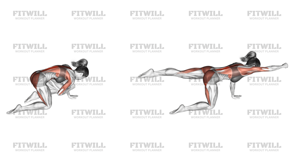 Bird Dog: Exercise Guide, Video, Techniques, Benefits, How to, Muscles ...