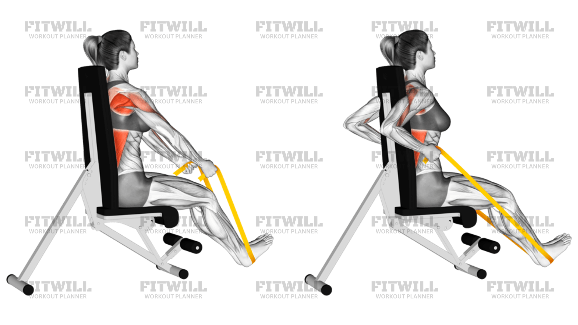 Resistance Band Seated Straight Back Row: Exercise Guide, Techniques ...