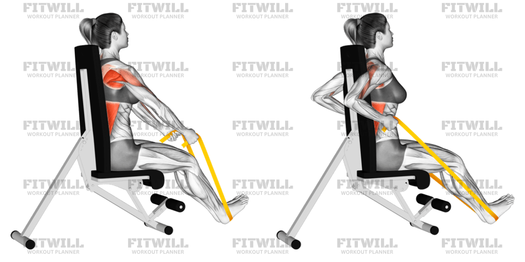 Resistance Band Seated Straight Back Row: Exercise Guide, Techniques ...