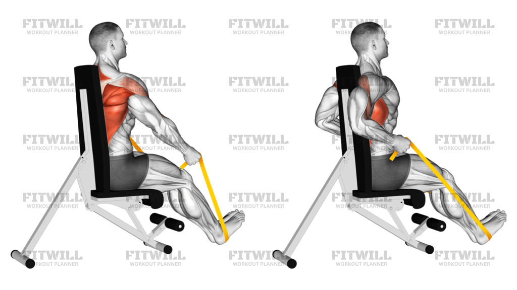 Resistance Band Seated Straight Back Row: Exercise Guide, Techniques ...
