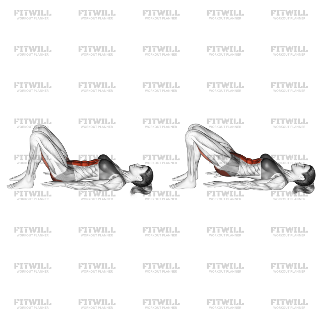 Pelvic Tilt: Exercise Guide, Video, Techniques, Benefits, How to ...