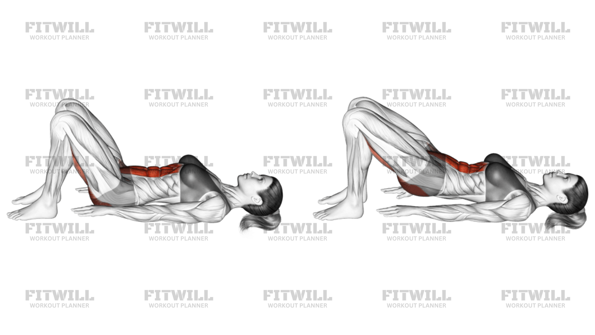 Pelvic Tilt: Exercise Guide, Video, Techniques, Benefits, How to ...