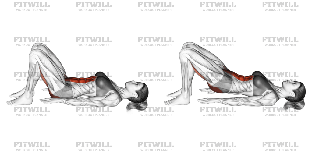 Pelvic Tilt: Exercise Guide, Video, Techniques, Benefits, How to ...