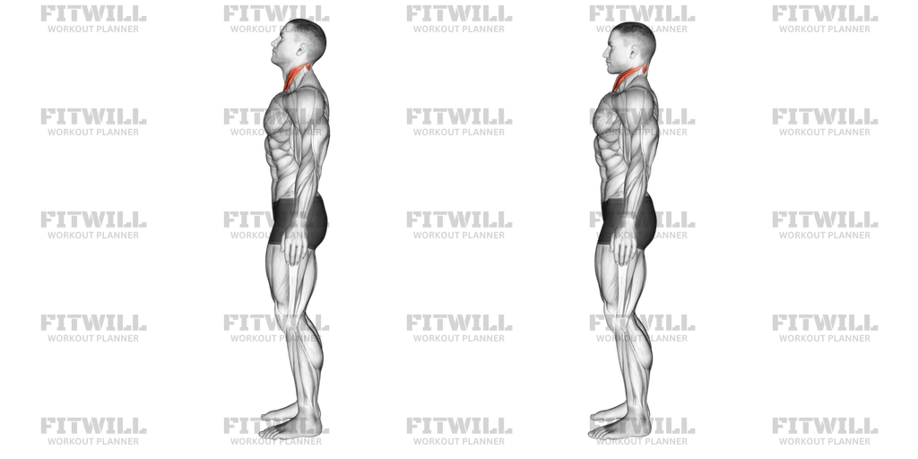 Chin Tuck: Exercise Guide, Techniques, Benefits, How to, Muscles Worked ...