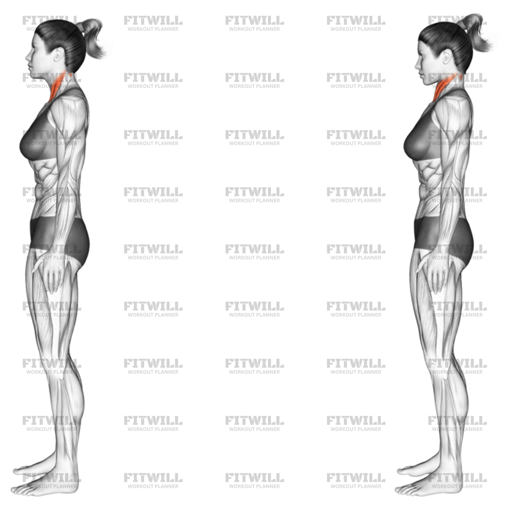 Chin Tuck: Exercise Guide, Techniques, Benefits, How to, Muscles Worked ...