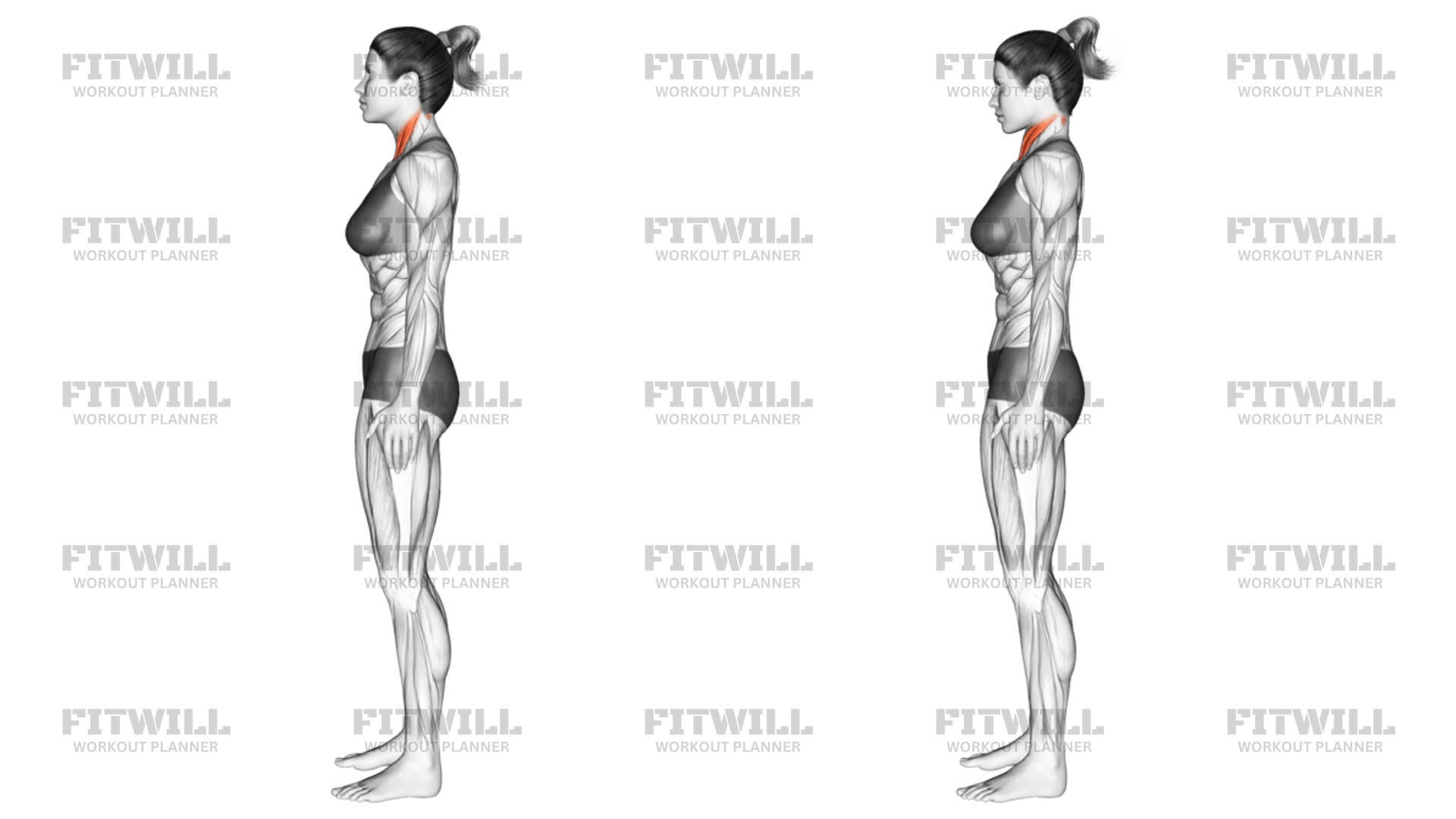 Chin Tuck: Exercise Guide, Techniques, Benefits, How to, Muscles Worked ...