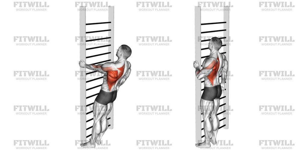 Bodyweight Standing Close-grip One Arm Row: Exercise Guide, Video ...