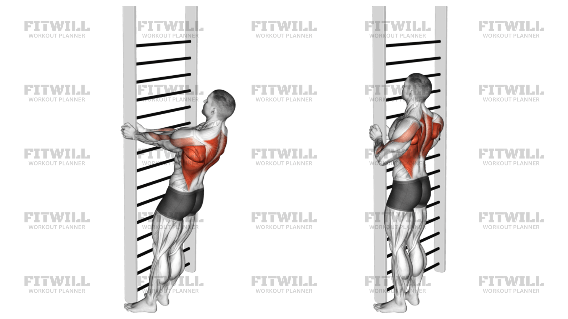 Bodyweight Standing Close-grip Row: Exercise Guide, Techniques ...