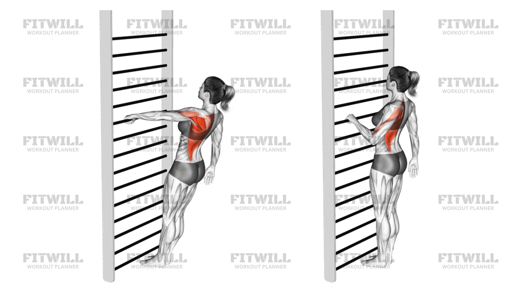 Bodyweight Standing One Arm Row: Exercise Guide, Techniques, Benefits ...