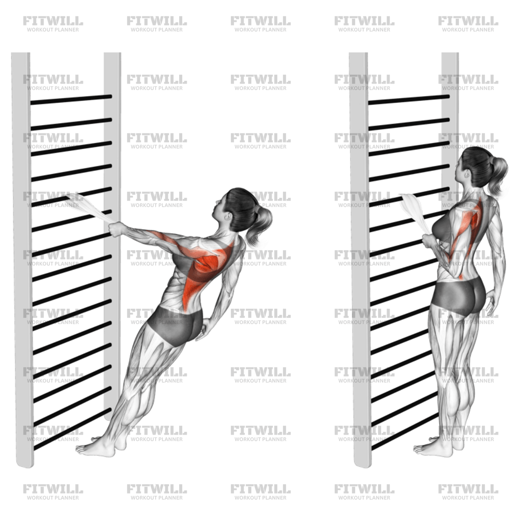 Bodyweight Standing One Arm Row (with Towel): Exercise Guide ...
