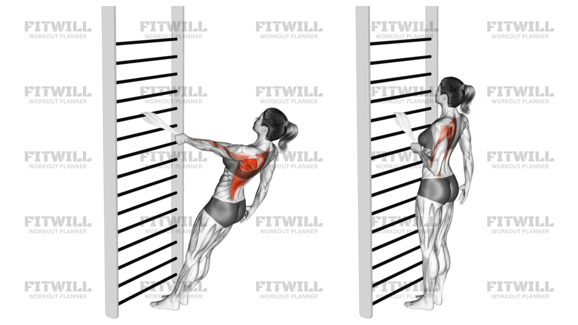 Bodyweight Standing One Arm Row (with Towel): Exercise Guide ...